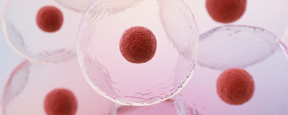 KMD Bioscience-FACS Sorting Protocol – KMD Bioscience Blog